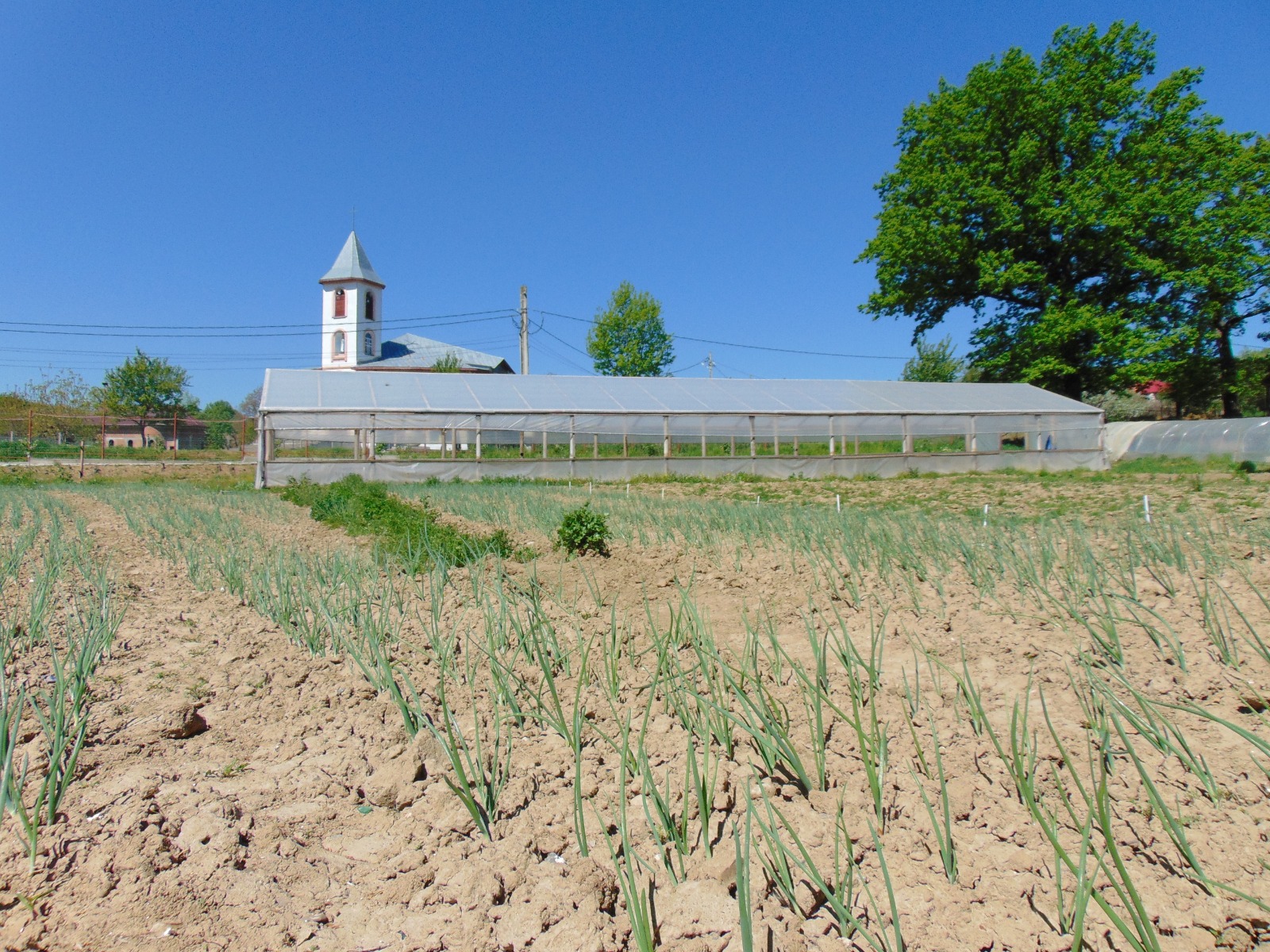 Complexul de servicii sociale pentru persoane adulte cu dizabilități ...